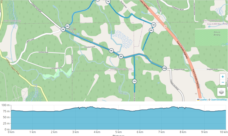 Cobble Hill 10K — Sunday, January 25, 2025